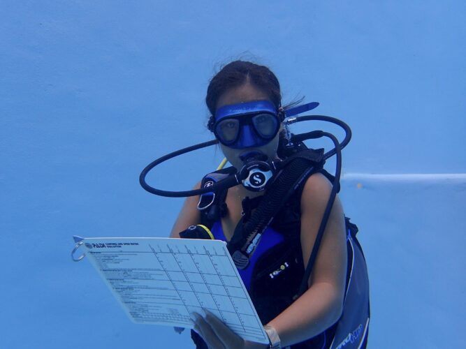 PADI Go Pro Courses 5* | Zero To Hero | Seaquest Dive Center