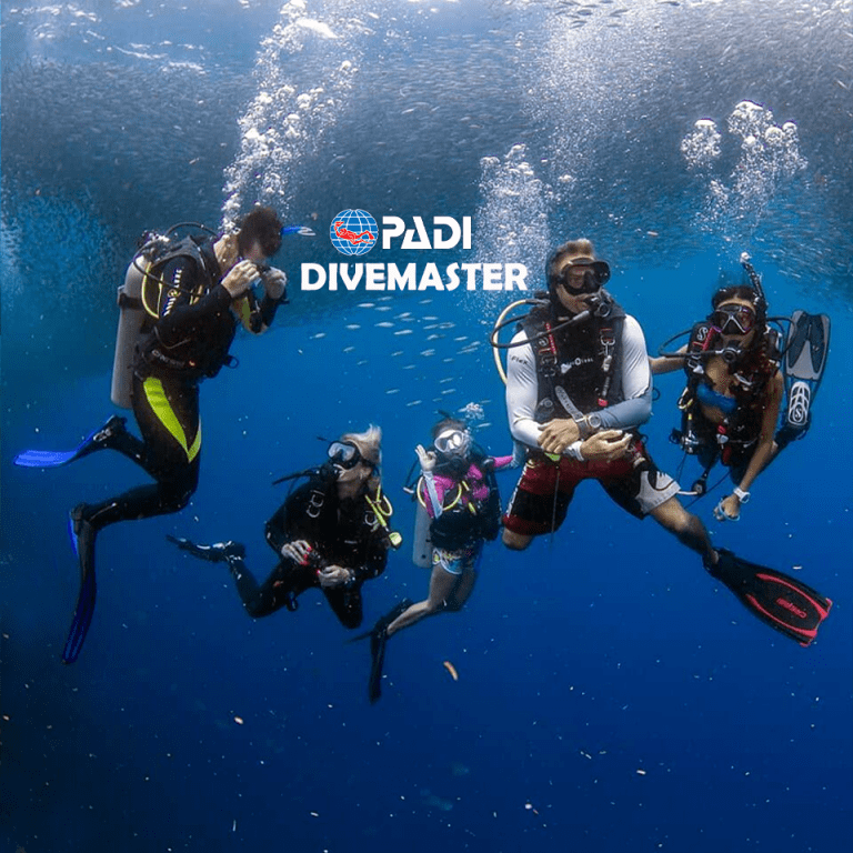 PADI Go Pro Courses 5* | Zero To Hero | Seaquest Dive Center