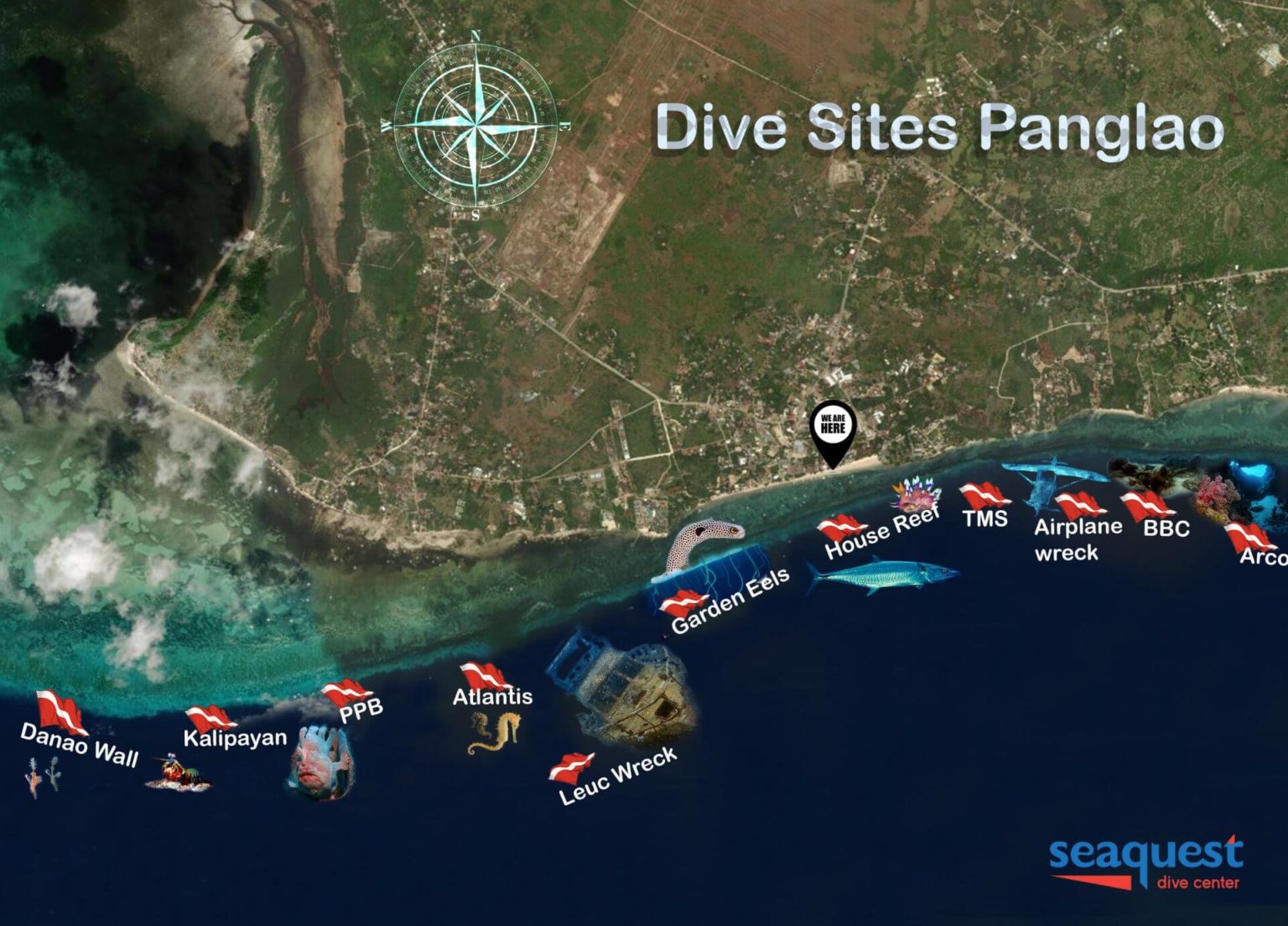 Dive Sites Panglao Among The Best In The Philippines | Seaquest Dive Center
