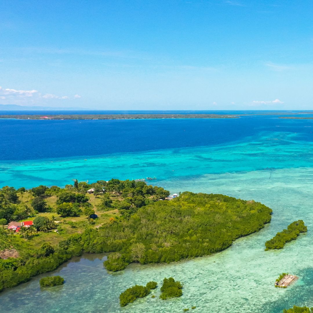 Dive Sites Panglao Among The Best In The Philippines | Seaquest Dive Center